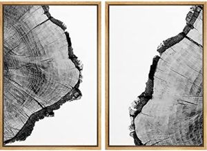 signwin framed wall art print set black & white close up tree ring details nature wilderness photography modern art rustic relax/calm multicolor for living room, bedroom, office - 24"x36"x2 natural