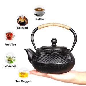 PARACITY Cast Iron Teapot Japanese Tetsubin Coated with Stainless Steel Infuser, Stovetop Tea Kettle for Boiling Hot Water Tea, Mothers Day Gifts from Daughter/ Son 23.5 Oz /700 Ml