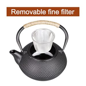 PARACITY Cast Iron Teapot Japanese Tetsubin Coated with Stainless Steel Infuser, Stovetop Tea Kettle for Boiling Hot Water Tea, Mothers Day Gifts from Daughter/ Son 23.5 Oz /700 Ml