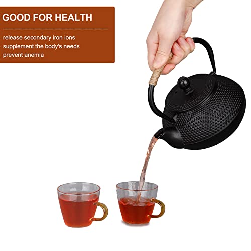 PARACITY Cast Iron Teapot Japanese Tetsubin Coated with Stainless Steel Infuser, Stovetop Tea Kettle for Boiling Hot Water Tea, Mothers Day Gifts from Daughter/ Son 23.5 Oz /700 Ml