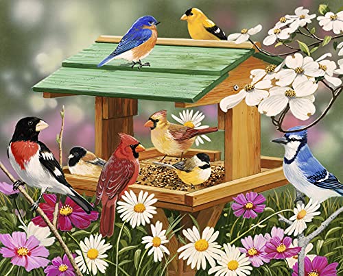 Spring Feast Birds Panel with Daisy and Dogwood Cotton Fabric AL4207 Size 36 X 44 Inches