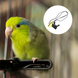 STOBOK 1 Set Bird Harness, Parrot Bird Harness Leash Adjustable Bird Flying Harness Traction Rope for Parrots Pigeons Budgerigar Lovebird Cockatiel Mynah, Size L