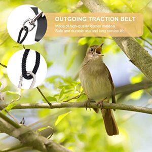 STOBOK 1 Set Bird Harness, Parrot Bird Harness Leash Adjustable Bird Flying Harness Traction Rope for Parrots Pigeons Budgerigar Lovebird Cockatiel Mynah, Size L