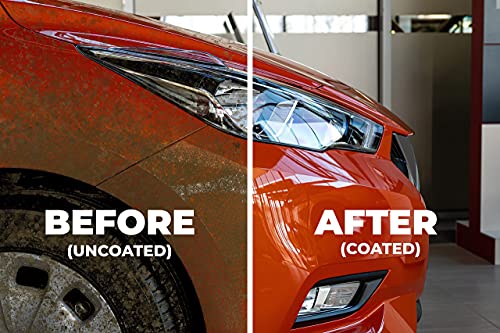 SHINE ARMOR Graphene Ceramic Coating for Cars | Highly Concentrated for Vehicle Paint Protection and Shine with Hydrophobic Top Coat SiO2 Technology Premium Gloss 8 Fl Oz