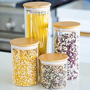 Simpli-Magic Kitchen Canisters, Various Sized, Clear