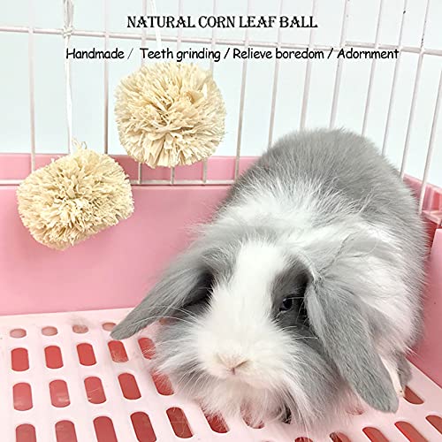 kathson Bunny Chew Toys for Teeth Grinding, Rabbit Wooden Scratch Board Feet Pad Platform Small Animals Play Toy for Guinea Pigs Chinchilla Hamsters Other Rodent Pets