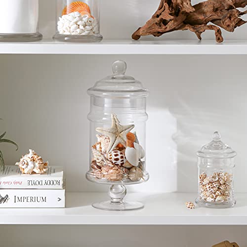 Motifeur Glass Apothecary Jars, Bathroom Storage Organizer Stand, Decorative Wedding Candy Buffets Container (Clear)