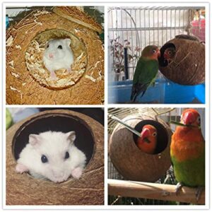 PINVNBY Coconut Bird Nest Hideaway Hut House with Ladder Parrot Training Puzzle Toy Parrot Bell Swing Hanging Birdhouse for Parrots Parakeet Lovebird Finch Canary Hamsters Etc Small Animal