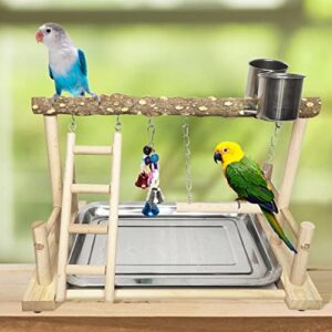 PINVNBY Bird Playground Parrot Playstand Birds Play Stand Wood Exercise Perch Gym Stand Playpen Ladder with Feeder Cups Hanging Swing Toys for Parakeet Conure Cockatiel Budgie Cage Accessories