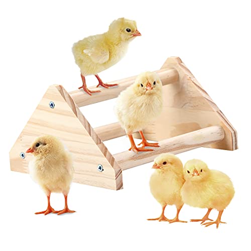 GINTUTO Chicken Perch Strong Pine Wooden Chick Jungle Gym Roosting Bar, Chick Perch Toys for Coop and Brooder for Large Bird Baby Chicks Parrot (Small)