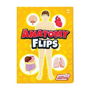 Junior Learning JL647 Anatomy Flips, Multi