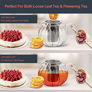 Warmyee Glass Teapot with Removable Infuser, Stovetop Safe Tea Kettle, Tea Diffuser for Loose Tea Maker Set (22 oz / 650 ml (1-2 Cups))