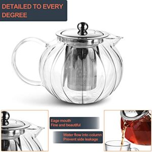 Warmyee Glass Teapot with Removable Infuser, Stovetop Safe Tea Kettle, Tea Diffuser for Loose Tea Maker Set (22 oz / 650 ml (1-2 Cups))