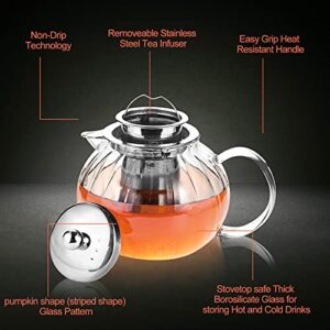 Warmyee Glass Teapot with Removable Infuser, Stovetop Safe Tea Kettle, Tea Diffuser for Loose Tea Maker Set (22 oz / 650 ml (1-2 Cups))