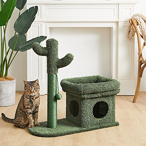 Catinsider 2 in 1 Cat Scratching Post Kitty Condo with Dangling Ball for Small Cats Green