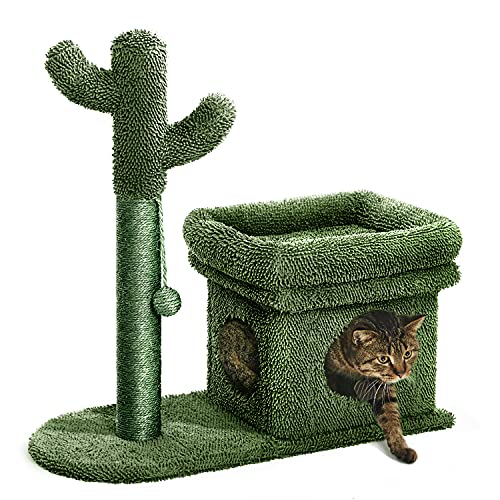 Catinsider 2 in 1 Cat Scratching Post Kitty Condo with Dangling Ball for Small Cats Green