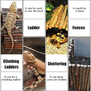 Hamiledyi Reptile Hideout Wooden Bridge Hiding Hut 4Pack Bearded Dragon Hide Caves Lizard Habitat Accessories for Iguana, Tortoise, Gecko, Chameleon, Snake, Frog, Amphibia