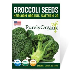 purely organic products purely organic heirloom broccoli seeds (heirloom waltham 29) approx 750 seeds