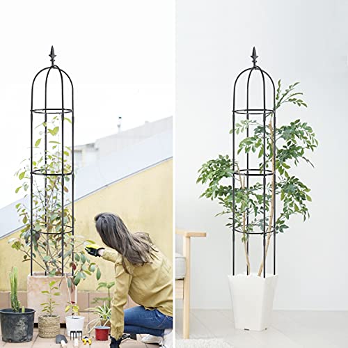 Garden Trellis for Climbing Plants Tower Obelisk Garden Trellis 6ft Tall Plant Support Vine Supports Plant Tower for Climbing Vines and Flowers Stands 1 Pack