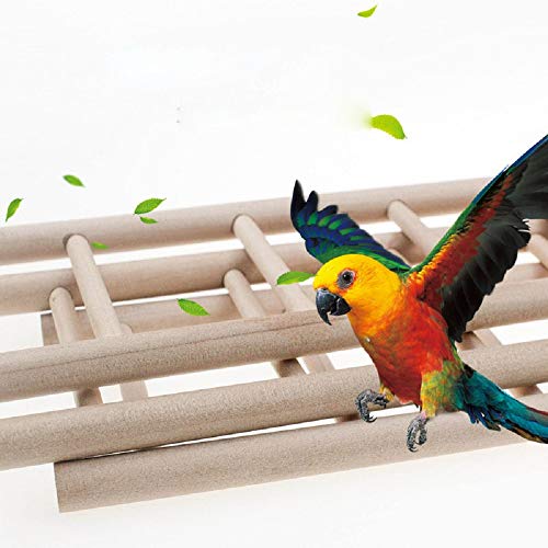 3 pcs Wooden Ladder for Bird Parrot Ladder Climbing Toy Birdie Basics (4 Step, 6 Step 8 Step)