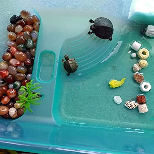 kathson Turtle Tank Aquarium, Turtle Habitat Reptile Plastic Terrarium Safe Durable, Turtle Tank with Lid Prevent Tortoise from Climbing Escaping (Small)