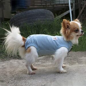 LOPHIPETS Girl Dog Shirts Recovery Suit Pajamas for Small Dog Chihuahua Yorkie Teacup Puppy Cat Clothes-Cambridge Blue Strips/S