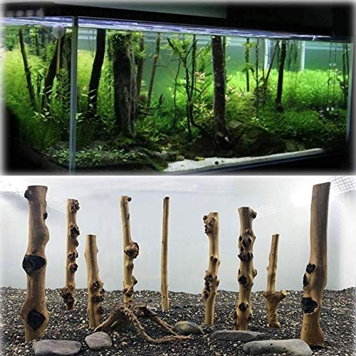 Tfwadmx Aquarium Driftwood Natural Forest Branch Trees Terrarium Wood Tree Reptile Branches Ornament Habitat Fish Tank Decoration(4 Pcs)