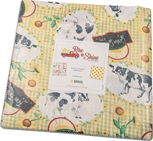 andi metz rise 'n shine 10x10 pack 42 10-inch squares layer cake benartex