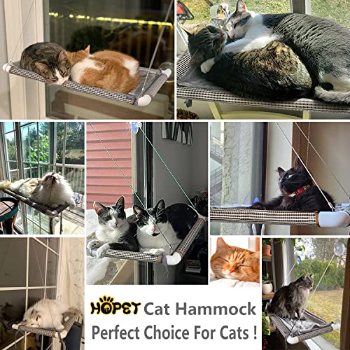 Cat Window Perch, Large Cat Hammock Bed w/Free Blanket Strong Suction Cups, Window Cat Bed Safety Sturdy for Indoor Two Large Cats or Kittens Resting Seat