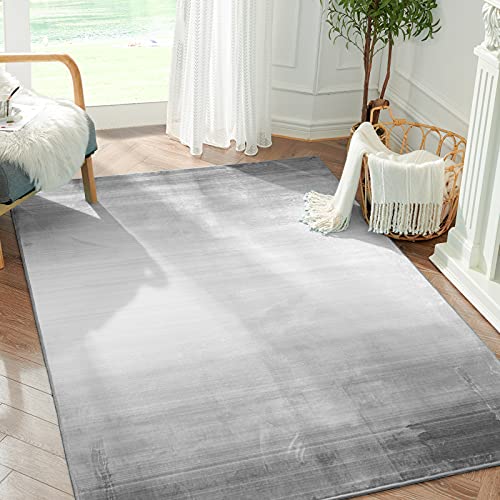 jinchan Area Rug 4x6 Modern Abstract Rug Grey Accent Rug Indoor Kitchen Rug Striped Ombre Print Mat Low Pile Rug Soft Carpet Contemporary Floor Cover for Living Room Bedroom Dining Room