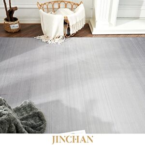 jinchan Area Rug 4x6 Modern Abstract Rug Grey Accent Rug Indoor Kitchen Rug Striped Ombre Print Mat Low Pile Rug Soft Carpet Contemporary Floor Cover for Living Room Bedroom Dining Room