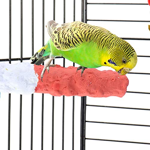 TEHAUX 1 pcs Bird Parrot Stand Perches, Cuttlebone Calcium Perch Standing Pole Bird Perch, Bird Toys for Parrots- Bird Cage Accessories