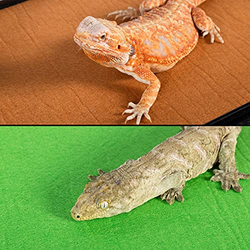 REPTI ZOO Reversible Reptile Carpet Pack of 2PCS, Terrarium Substrate Bedding Liner (11 in X 29 in) for 8/10/12/15/20 Gallon Tanks, Both Sides Usable Reptile Floor Mat