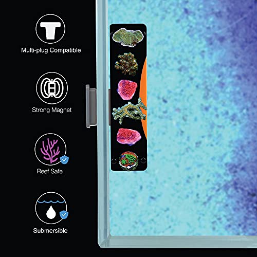 ESHOPPS Alpha Rack Nano Magnetic Coral Frag Rack with Strong Anti-Slip Rubber Padded Magnet for Nano Reef Tanks, Holds 6 Frags