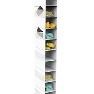 Libeder Hanging Shoe Organizer,10-Shelf Hanging Closet Organizers and Storage Shoes Organizer Shelves Hanging Shoe Rack Holder with 6 Mesh Side Pockets