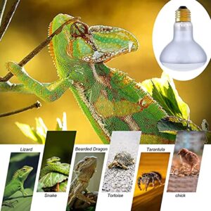 100W UVA Heat Bulb Pet Basking Spot Heating Lamp Bulb Soft White Sun Glow Reptile Heat Lamp Bearded Dargon Infrared Heater for Turtle Aquarium Aquatic Reptile Lizard Chicken Coop E26/E27 110V,2 Pack