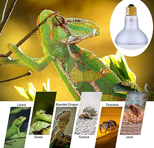 100W UVA Heat Bulb Pet Basking Spot Heating Lamp Bulb Soft White Sun Glow Reptile Heat Lamp Bearded Dargon Infrared Heater for Turtle Aquarium Aquatic Reptile Lizard Chicken Coop E26/E27 110V,2 Pack