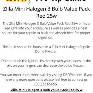 Mini Halogen 25w Red Basking & Night Time Bulb for Reptiles- 3 Bulb Value Pack