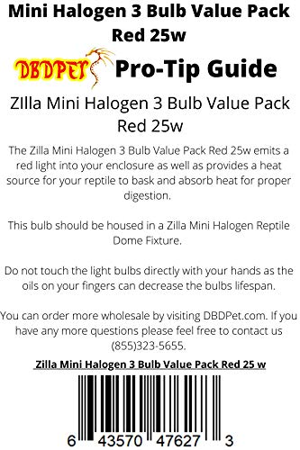 Mini Halogen 25w Red Basking & Night Time Bulb for Reptiles- 3 Bulb Value Pack