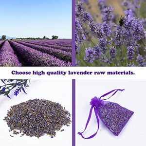 24 Pack Moth Repellent for Closet Lavender Sachet Bags, Cedar Blocks for Clothes Storage, Cedar Lavender Bags and Protect Clothing Closets Drawers Freshener