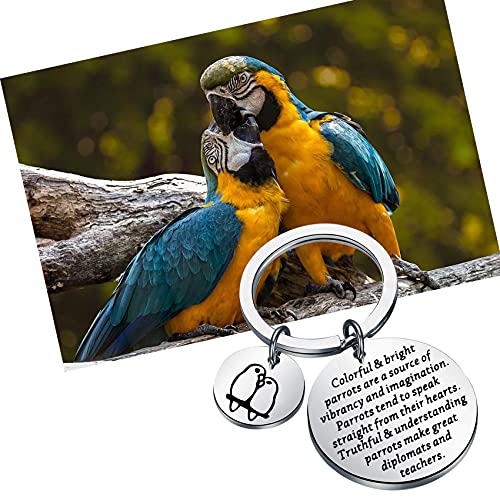 bobauna Parrot Parakeet Keychain Cockatiel Bird Jewelry Colorful And Bright Parrots Are A Source Of Vibrancy And Imagination (colorful bright parrot keychain)