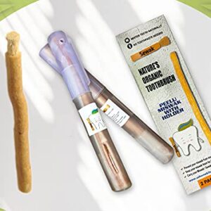 SEWAK Miswak Sticks for Teeth Natural Toothbrush | مسواك | Siwak Organic Wooden Tooth Brush Oral Teeth Whitener with Holder | Vacuum Sealed