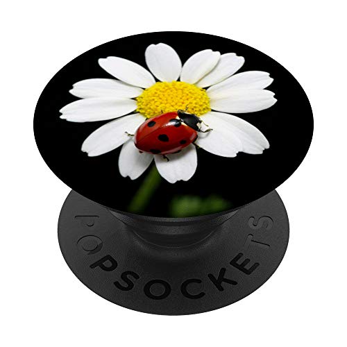 Cute Ladybug on Yellow Daisy Flower PopSockets Swappable PopGrip