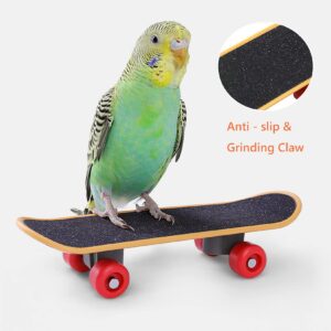 Bird Training Toy, Parakeet Intelligence Toy, Parrot Wooden Block Puzzles Toy, Bird Basketball Toy, Parrot Skateboard, Bird Stacking Toy for Parrot Budgie Cockatiel Finch