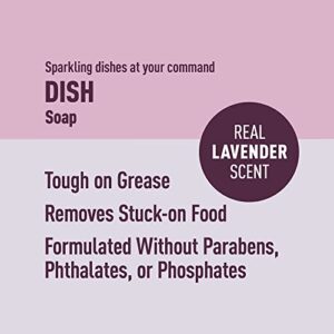 Amazon Brand – Presto! Dish Soap, Lavender Scent, 30 fl oz, Pack of 2