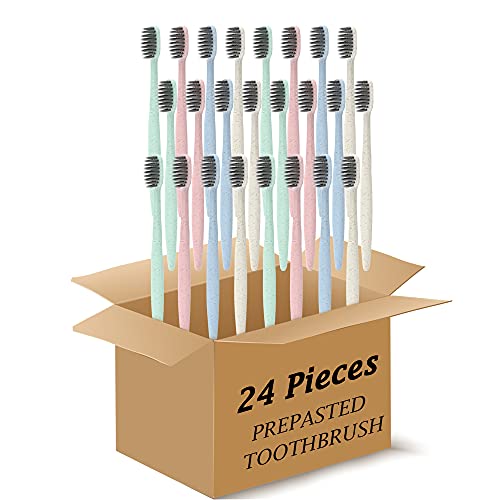 DR.PERFECT Prepasted Wheat Charcoal Toothbrush Individually Wrapped with Sealed Paper Bag Pack of 24 (24)