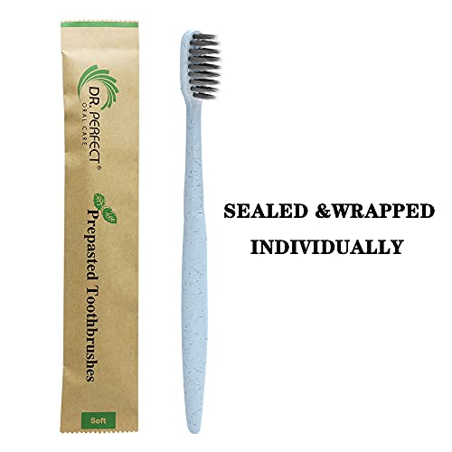 DR.PERFECT Prepasted Wheat Charcoal Toothbrush Individually Wrapped with Sealed Paper Bag Pack of 24 (24)