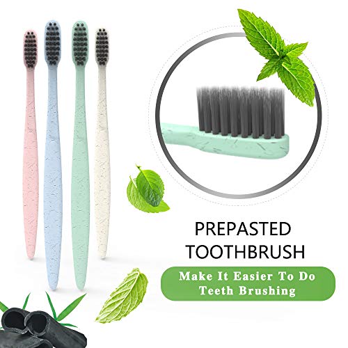 DR.PERFECT Prepasted Wheat Charcoal Toothbrush Individually Wrapped with Sealed Paper Bag Pack of 24 (24)