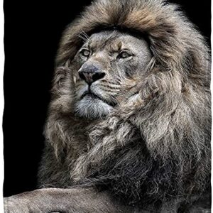 KYKU Lion Blankets for Adults Animal Throw Blanket for Kids Face Black Fleece Home Decorative Living Room Sofa Hug Nap Travel Car Soft Warm Cozy 3D Printed Design Gifts (Black, 60" × 80")