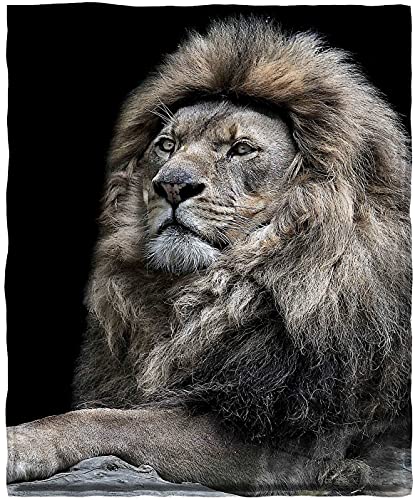 KYKU Lion Blankets for Adults Animal Throw Blanket for Kids Face Black Fleece Home Decorative Living Room Sofa Hug Nap Travel Car Soft Warm Cozy 3D Printed Design Gifts (Black, 60" × 80")